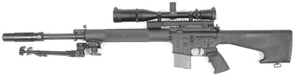 THE CANADIAN M16 - Small Arms Review