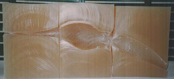 RAUFOSS MULTIPURPOSE AMMO - Small Arms Review