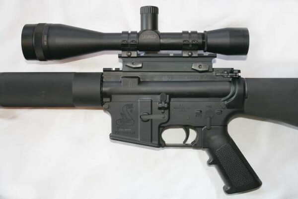 THE .450 BUSHMASTER A TRUE BIG BORE BLACK RIFLE - Small Arms Review