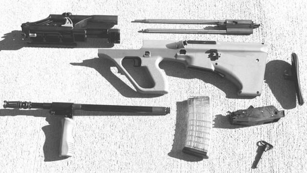 MICROTECH'S STG-556 AN EXCLUSIVE FIRST LOOK - Small Arms Review