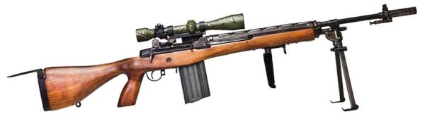 AGAINST ALL ODDS - THE MAN BEHIND THE M14 RIFLE: LT. COL. ROY E. RAYLE ...