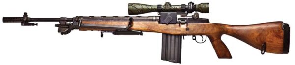 AGAINST ALL ODDS - THE MAN BEHIND THE M14 RIFLE: LT. COL. ROY E. RAYLE ...