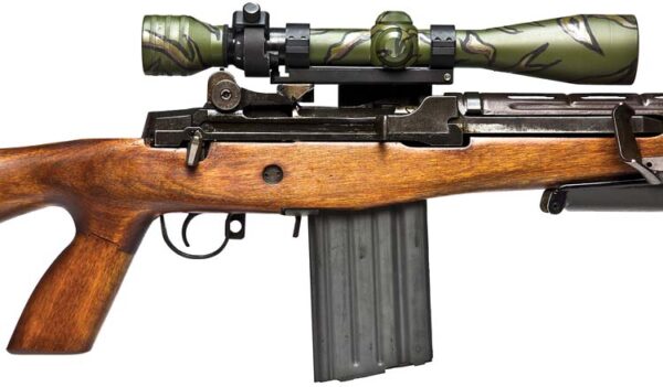 AGAINST ALL ODDS - THE MAN BEHIND THE M14 RIFLE: LT. COL. ROY E. RAYLE ...