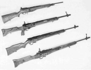 AGAINST ALL ODDS - THE MAN BEHIND THE M14 RIFLE: LT. COL. ROY E. RAYLE ...