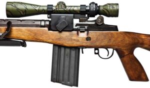 AGAINST ALL ODDS - THE MAN BEHIND THE M14 RIFLE: LT. COL. ROY E. RAYLE ...