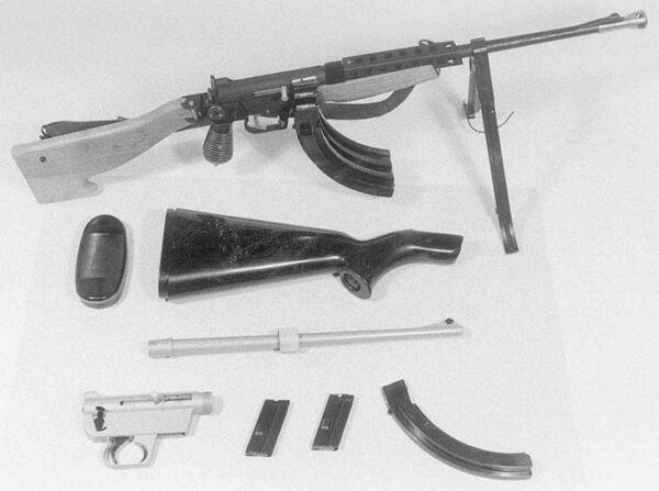 PROJECT: AR-7 RIFLE - Small Arms Review