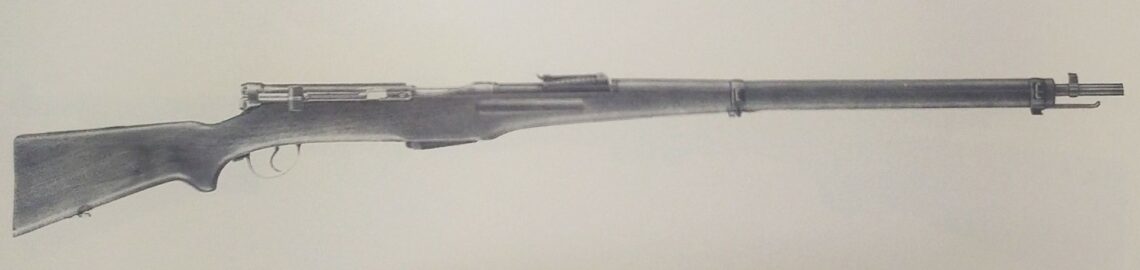 Early Bolt-Action Rifle Conversions Part I: Automatic Service Rifles on ...