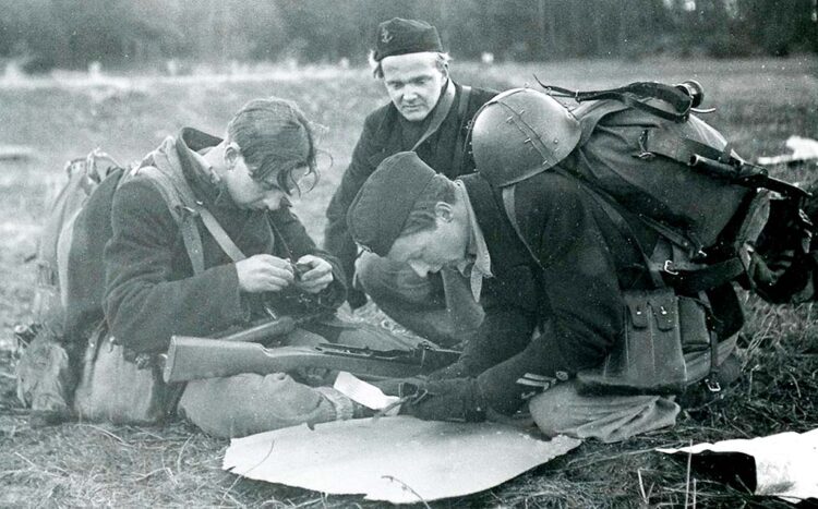 The Swedish Automatgevär m/42 Ljungman - Small Arms Review