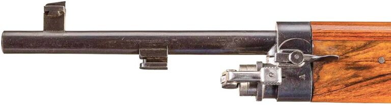 Tortuous Paths - Manuel Mondragón and his Semi-Automatic Rifle - Small ...