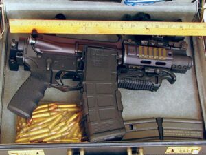 AR PDW EXTREME: A Pocket Design Perspective - Small Arms Review