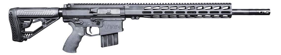 Editorial Special: AR-Type Rifles - Small Arms Review