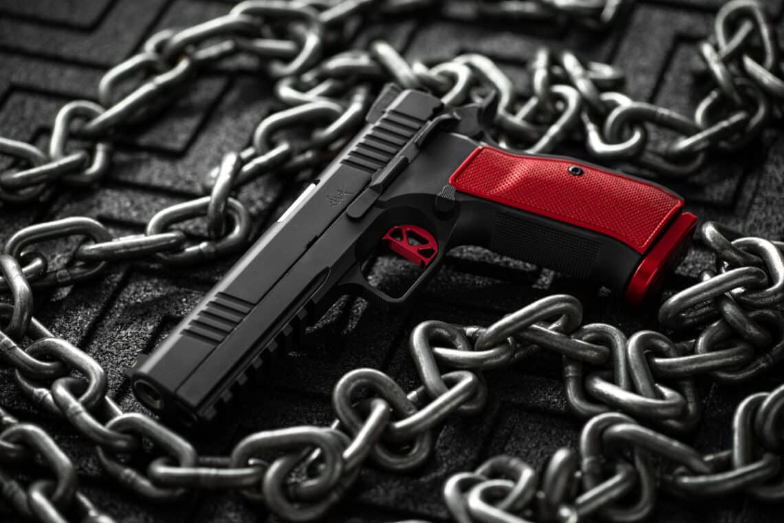 Dan Wesson Firearms DWX Pistol Review: Something Old, Something New ...