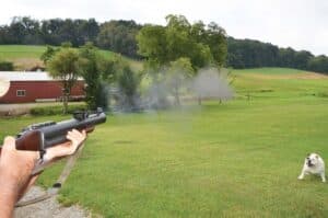 Feed That Launcher! Legal Ammo for 37mm and 40mm Launchers - Small Arms ...