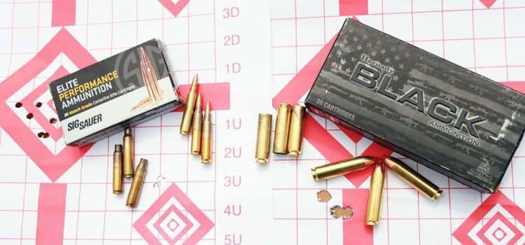 A Compact Thumper: The Ruger American Rifle Ranch in .450 Bushmaster ...