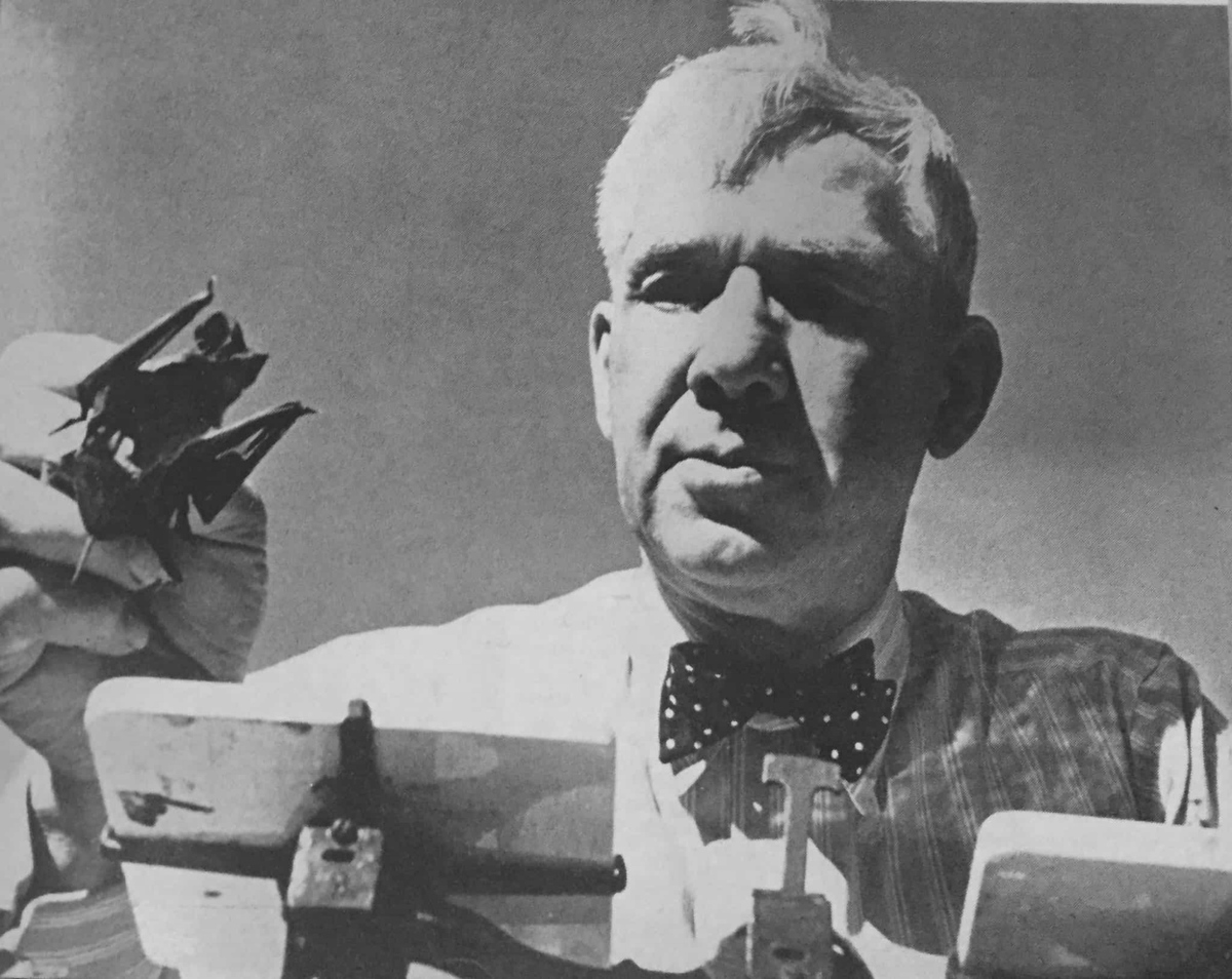 That Time the U.S. Military Almost Used Bats to Firebomb Japan During ...