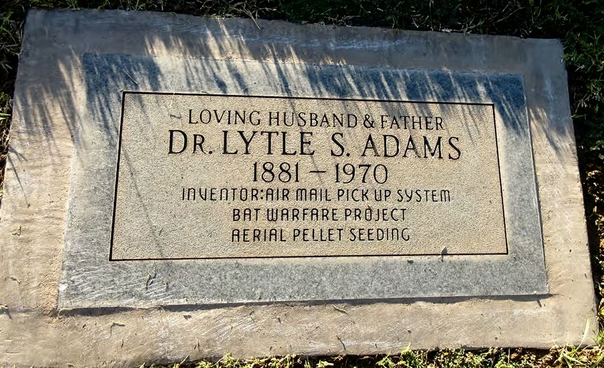 That Time the U.S. Military Almost Used Bats to Firebomb Japan During ...