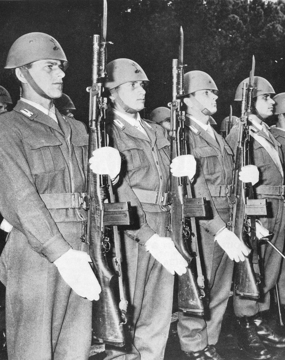 The History of the"Italian FAL" – Beretta's Long-Serving BM59 - Small ...