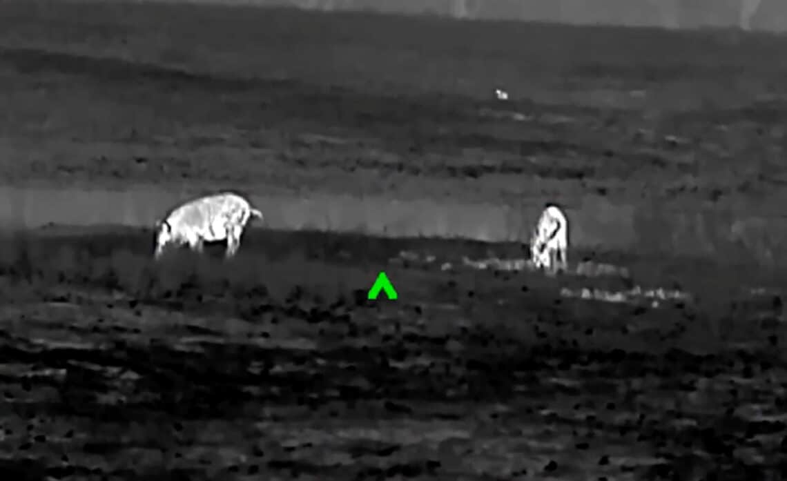 REVIEW: Sightmark’s Wraith Mini 2-16x35 Thermal Riflescope - Small Arms ...